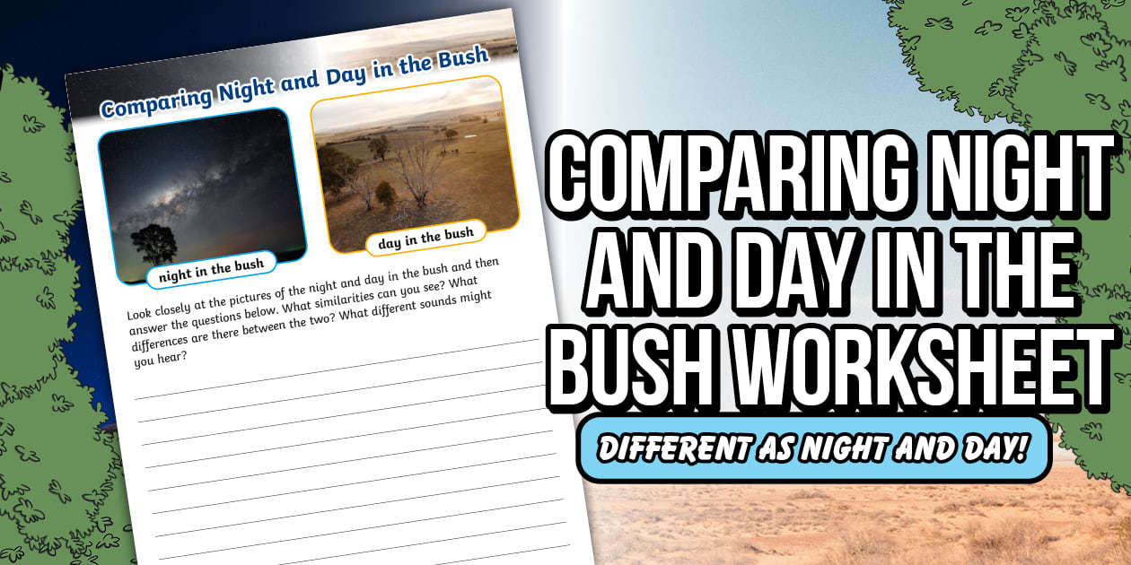 Comparing Night and Day in the Bush Worksheet