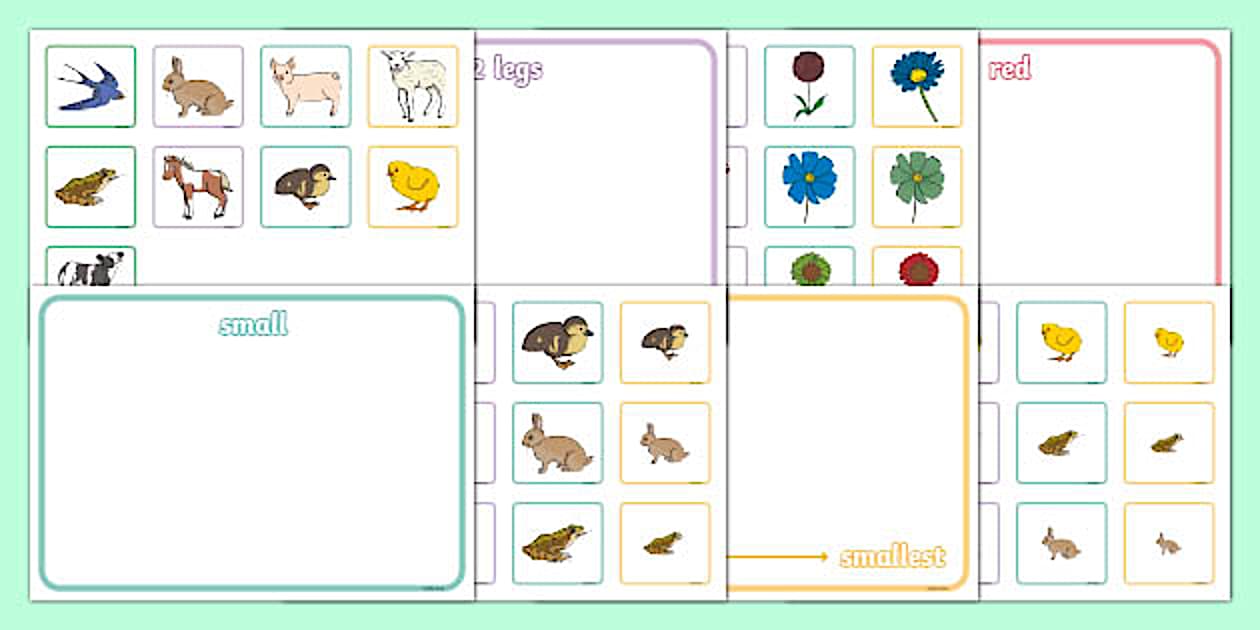 Spring Sorting Activity Pack (teacher made) - Twinkl
