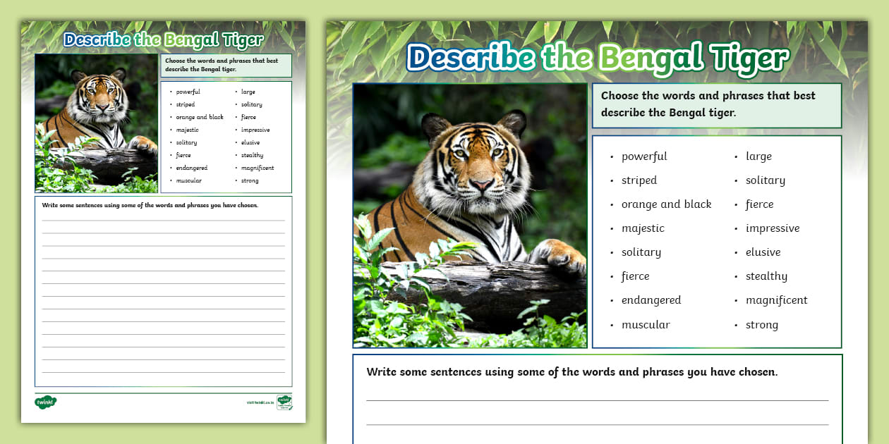 Describe the Bengal Tiger Worksheet (teacher made) - Twinkl