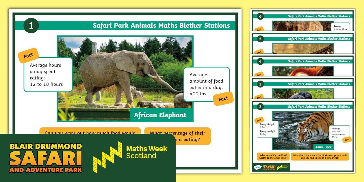 FREE! - Safari Park Animals Maths Blether Stations - Twinkl