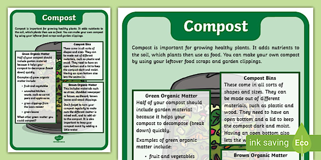 TAS Compost Bin Fact File (Hecho por educadores) - Twinkl