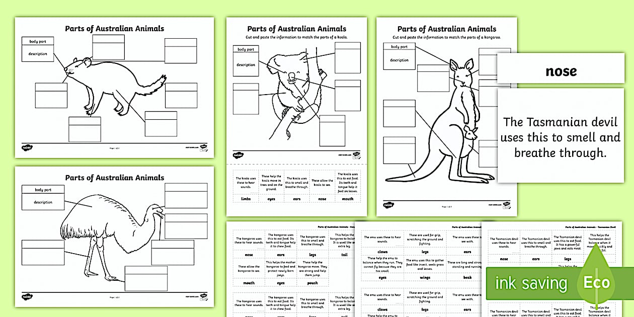 VIC Parts of Australian Animals Cut and Paste Worksheet