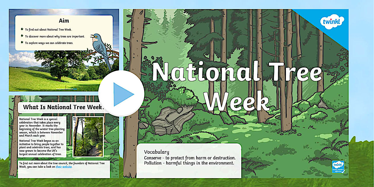 National Tree Week Assembly Pack | KS1 Assemblies - Twinkl