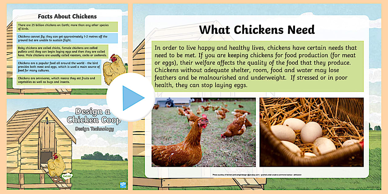 Animal Housing Design a Chicken Coop PowerPoint - Twinkl
