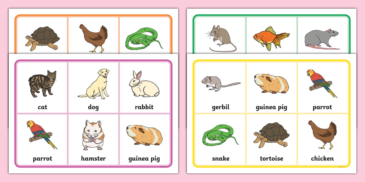 Pets Bingo and Lotto Game (teacher made) - Twinkl