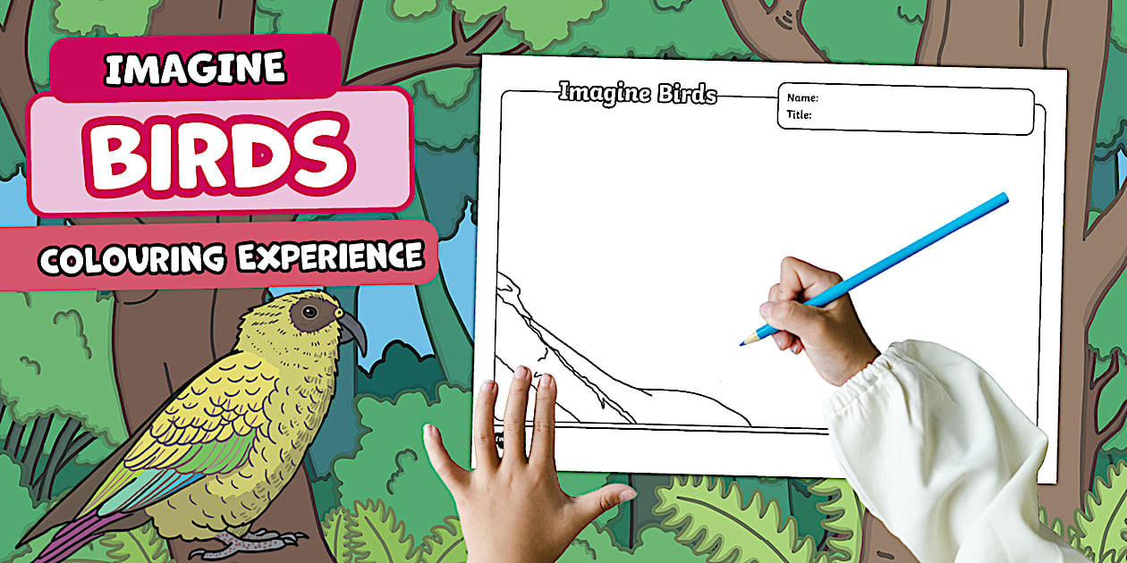Imagine Birds - Colouring Experience