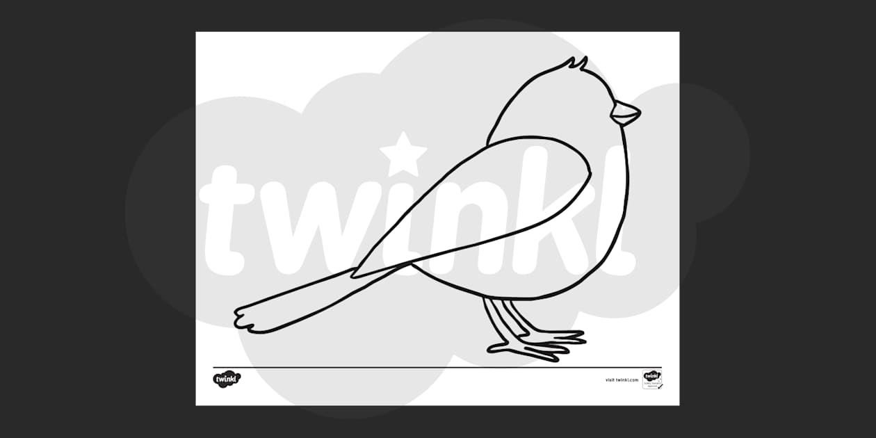 bird template outline