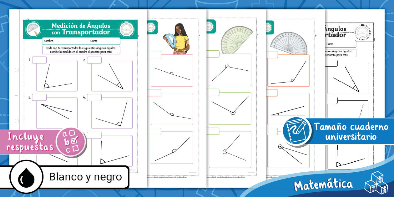 Guía | Ángulos | Transportador | Medir | 6° Básico