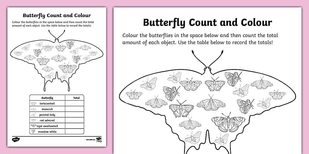 👉 Butterfly Count and Colour Worksheet (teacher made)