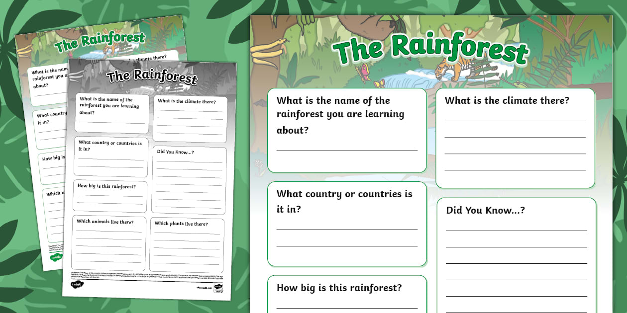 Rainforest Fact File Template - Twinkl Geography - Twinkl
