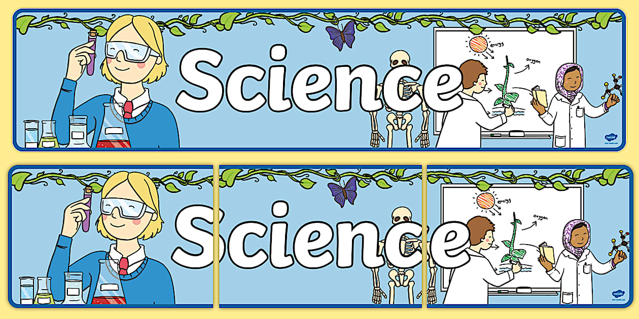 👉 Science Display Banner EYFS (teacher made) - Twinkl