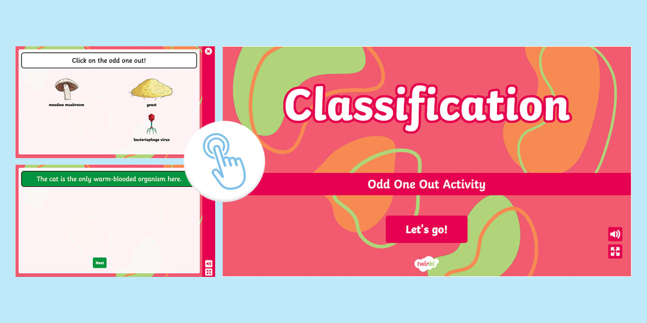 Odd One Out Classification Game (teacher made) - Twinkl