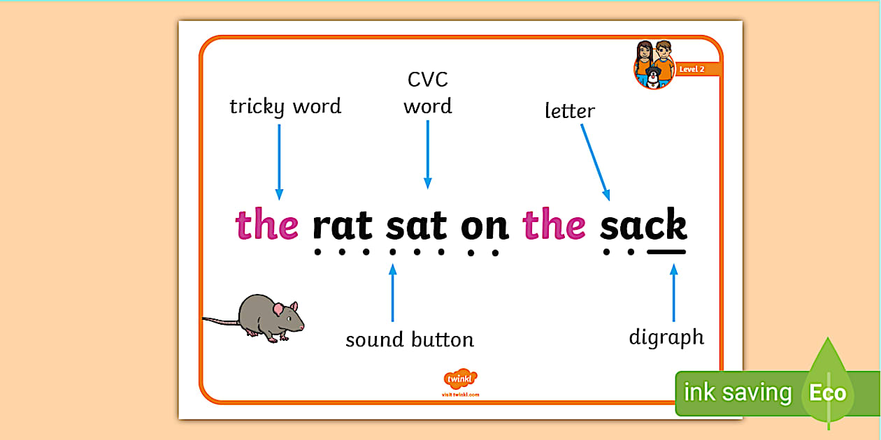 Level 2 Phonics - Terminology Display Poster (teacher made)