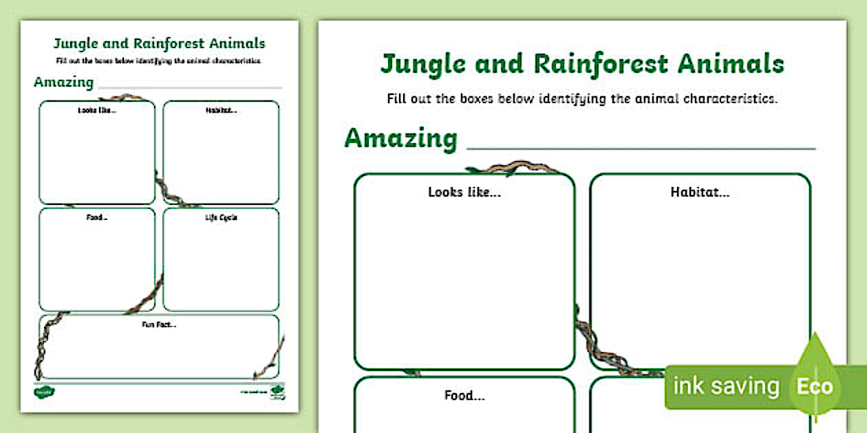 Cursive Jungle and Rainforest Animals Information Writing Frame