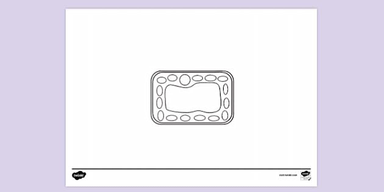 Staining Cells Colouring | Colouring Sheets (teacher made)
