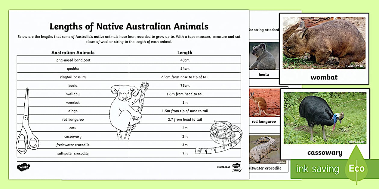 Black and White Australian Animals Measurement Worksheet