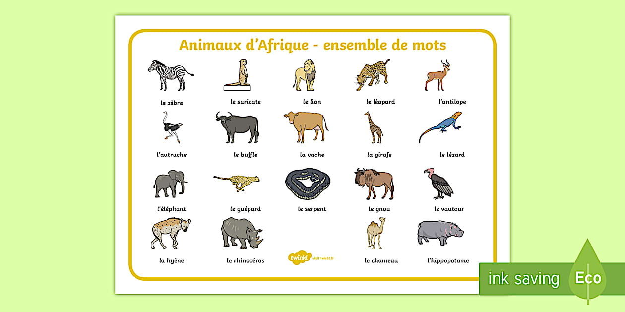 Cursive Ensemble de mots : animaux d'Afrique (teacher made)