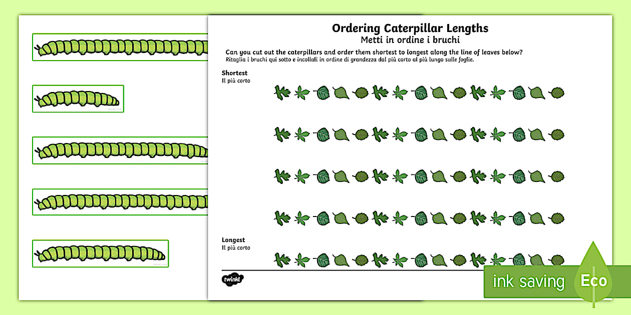 Ordering Caterpillar Lengths Activity English/Italian
