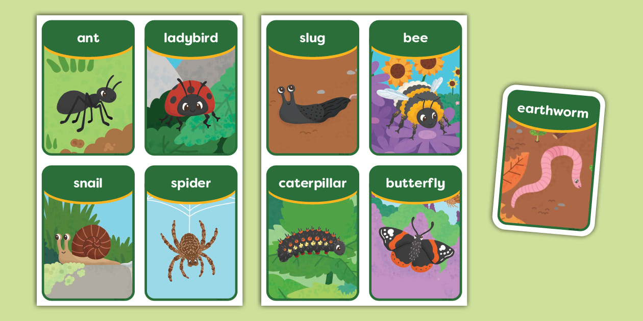 Originals First Words Flashcards: Minibeasts (teacher made)