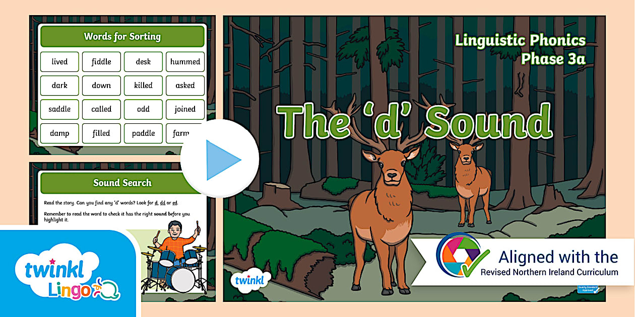 Northern Ireland Linguistic Phonics Phase 3a 'd' Sound PowerPoint