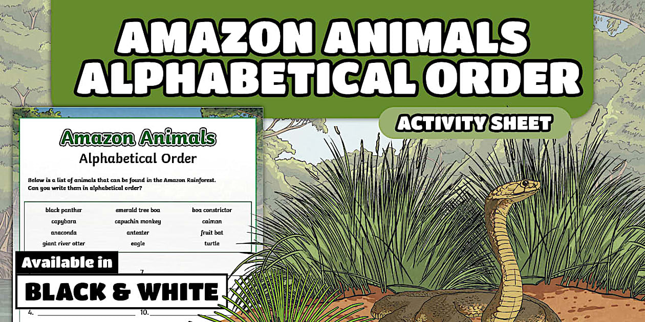 IP English Amazon Animals Alphabetical Order – Activity