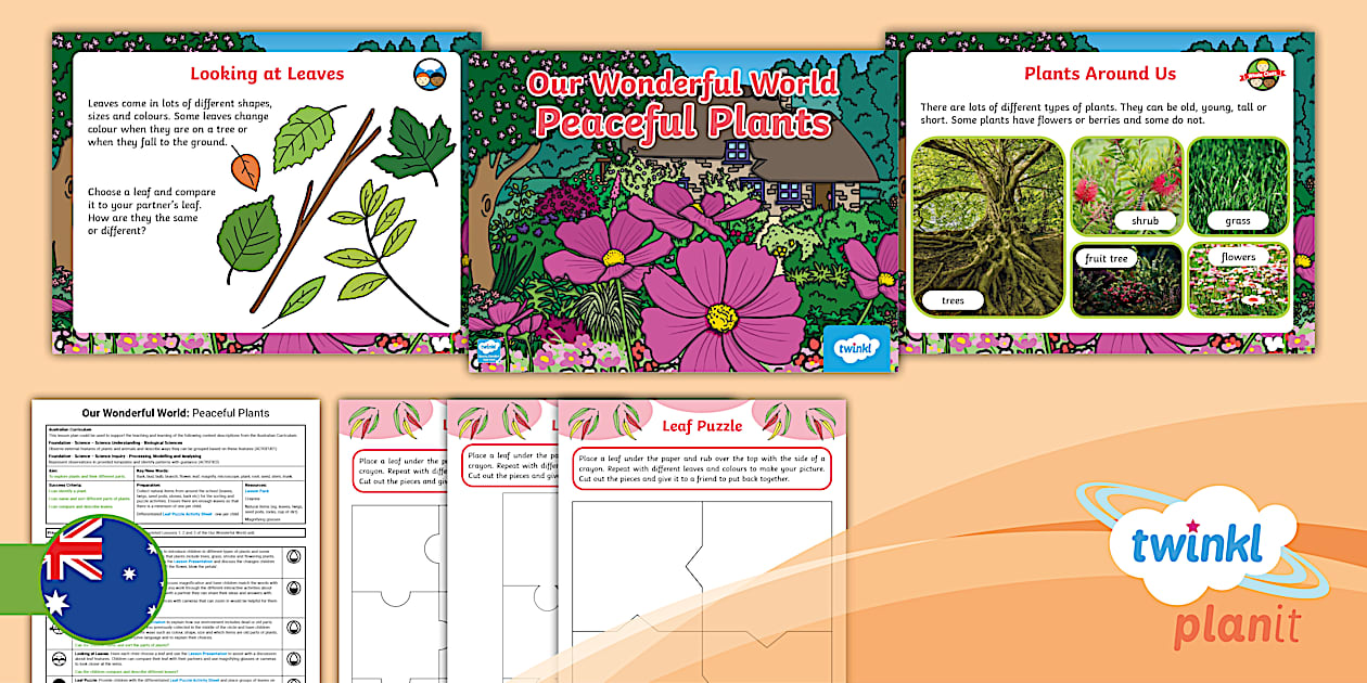 Foundation Science Wonderful World Lesson 4 Peaceful Plants