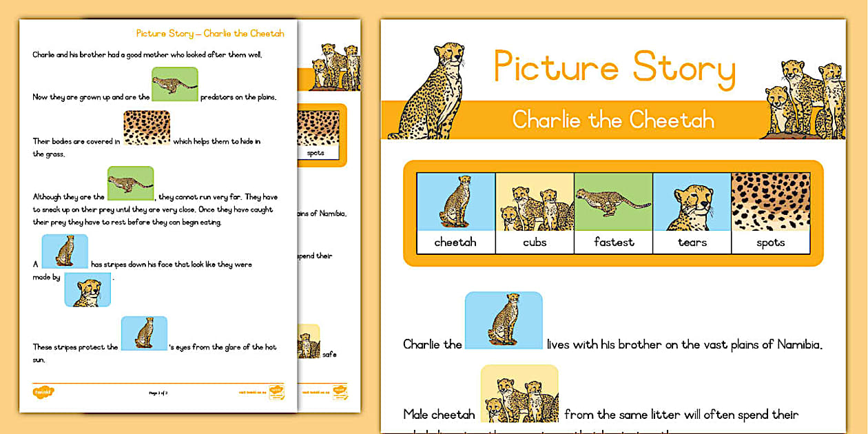 Picture Story - Charlie the Cheetah (Teacher-Made) - Twinkl