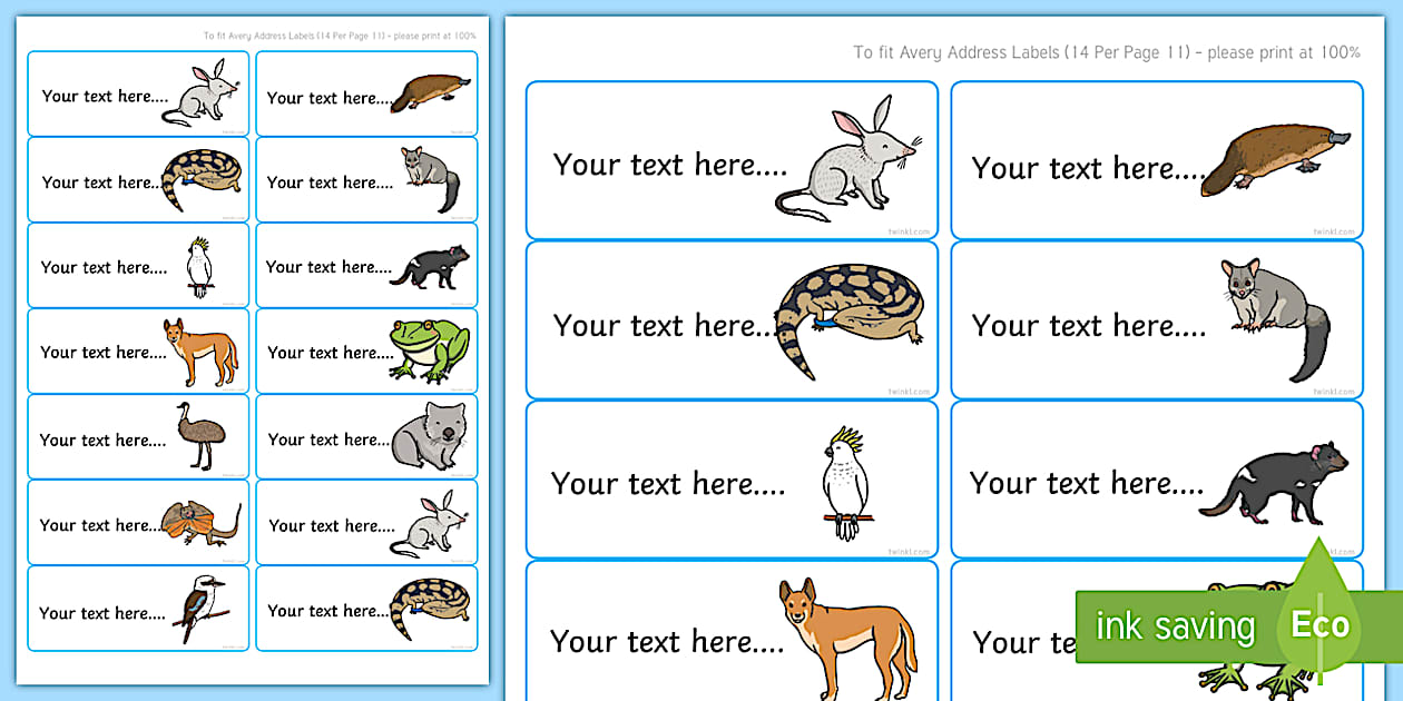 NSW Australian Animals Student Labels (l'enseignant a fait)