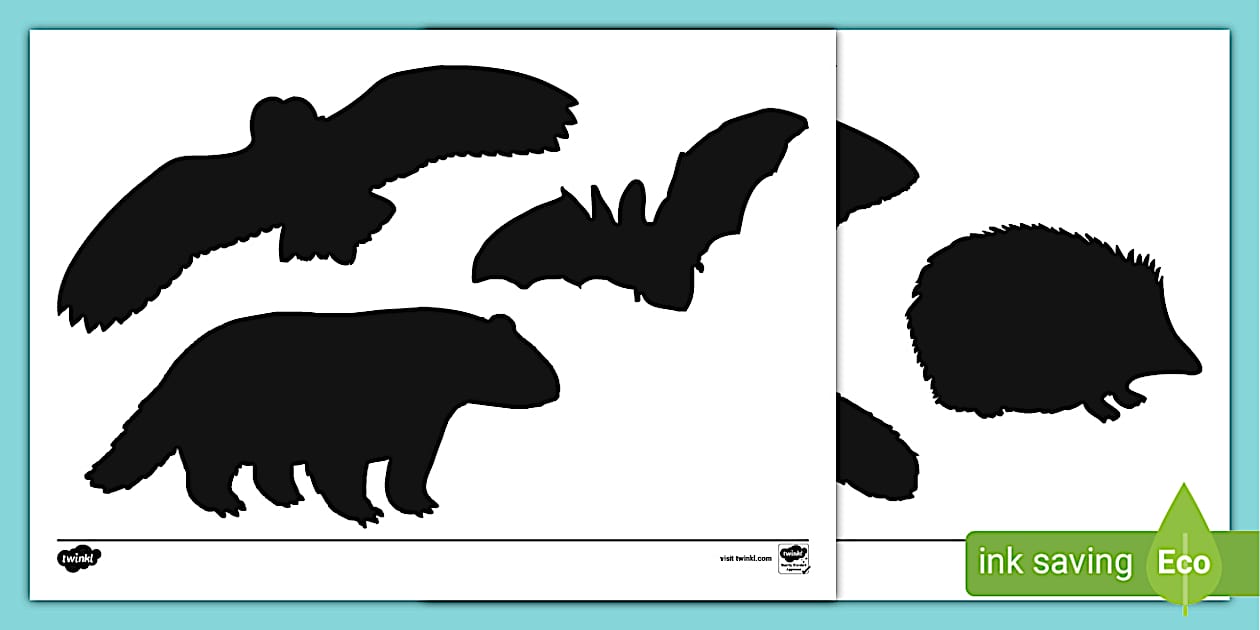 Nocturnal Animals Shadow Puppets Cut-Outs - Twinkl