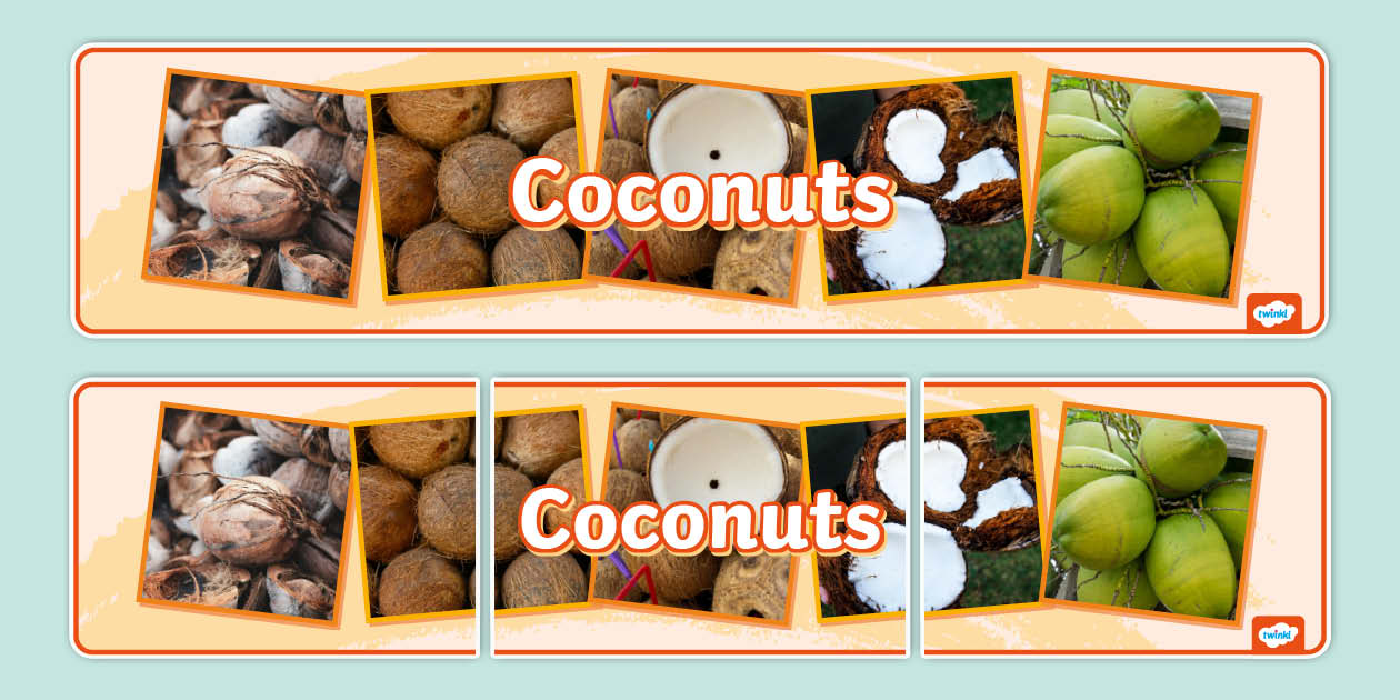 Coconuts Photo Display Banner (teacher made) - Twinkl