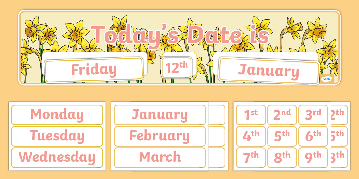 Daffodil-Themed Calendar Display Pack (teacher made)