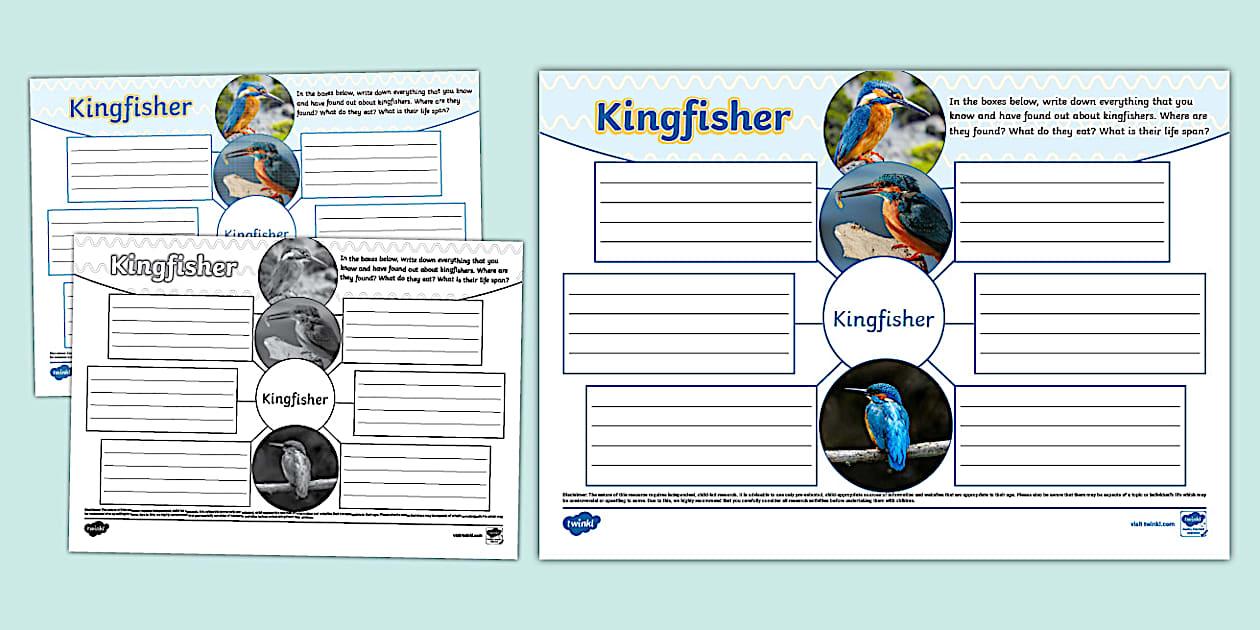 Kingfisher Mind Map (teacher made) - Twinkl