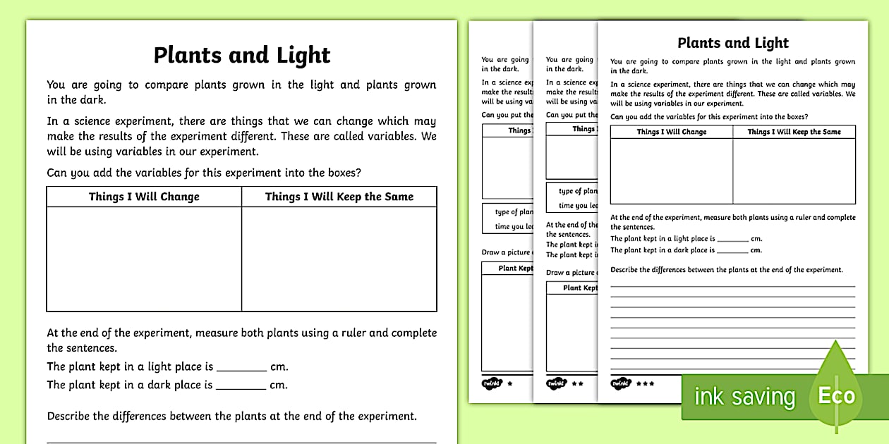 Plants and Light Differentiated Worksheets (teacher made)
