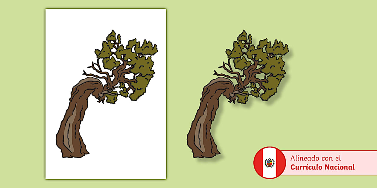 Dibujo de queñual | Recursos Educativos Twinkl - Twinkl