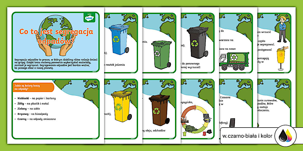 Segregacja odpadów | Karty faktów (teacher made) - Twinkl