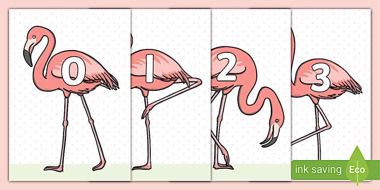 Flamingo Maths Display - Number Display Cards - Twinkl