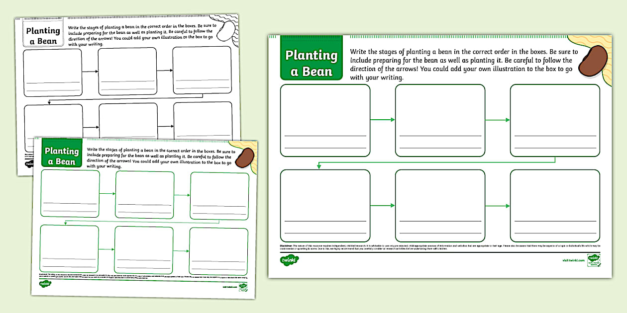 Planting a Bean Sequencing Mind Map (teacher made) - Twinkl