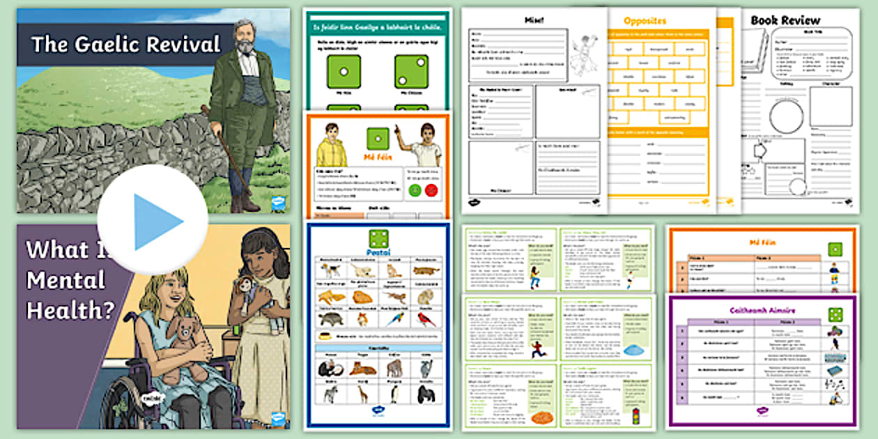 Fifth Class Pack D (Hecho por educadores) - Twinkl