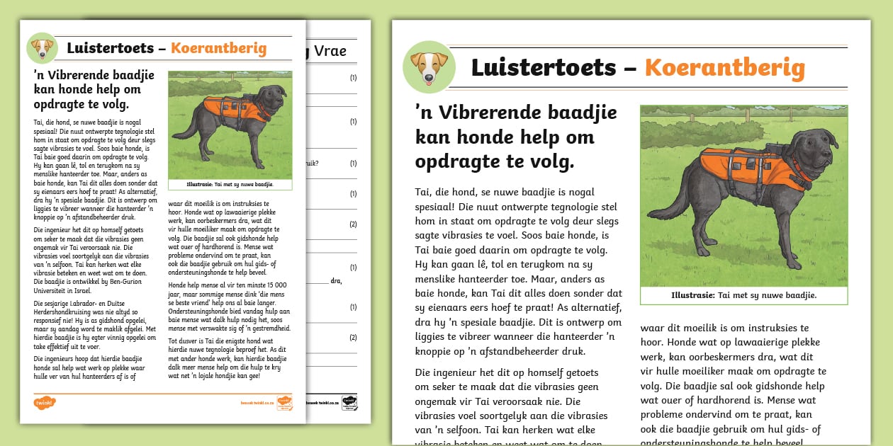 Luisterbegrip: Koerantberig (Teacher-Made) - Twinkl