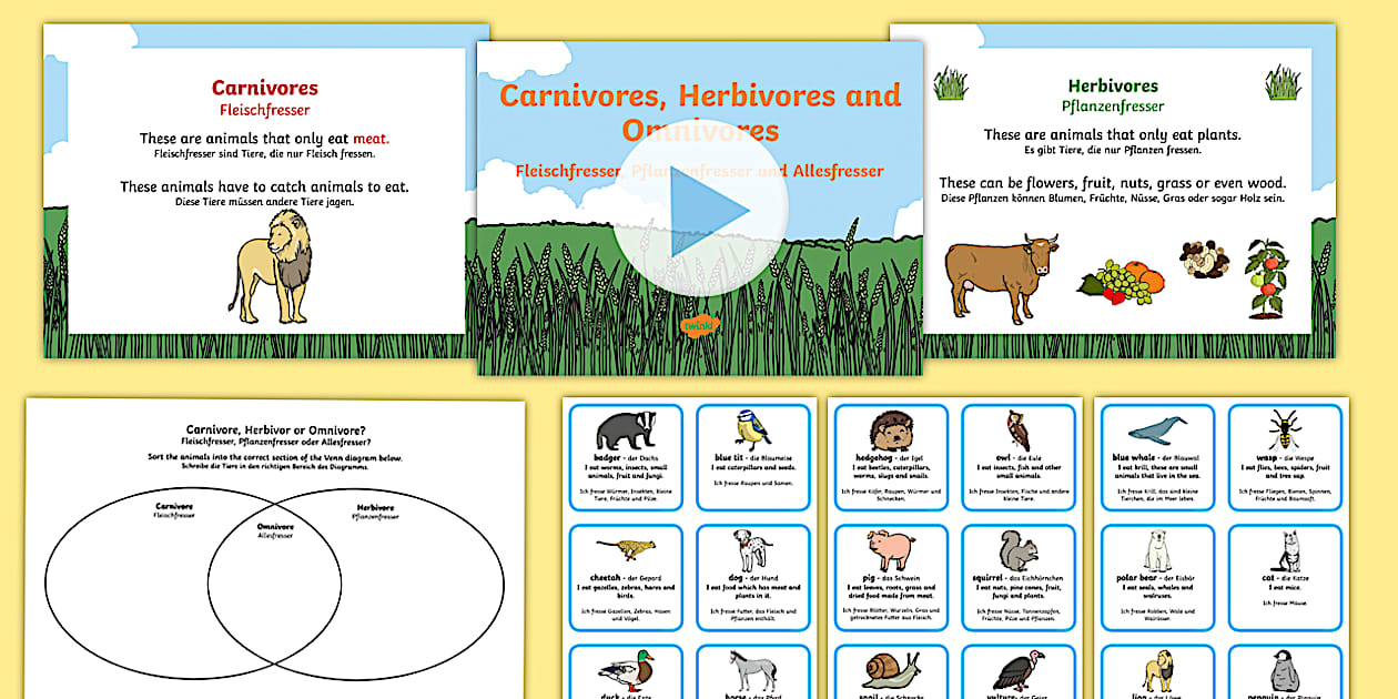 Herbivores, Carnivores & Omnivores Activities English/German