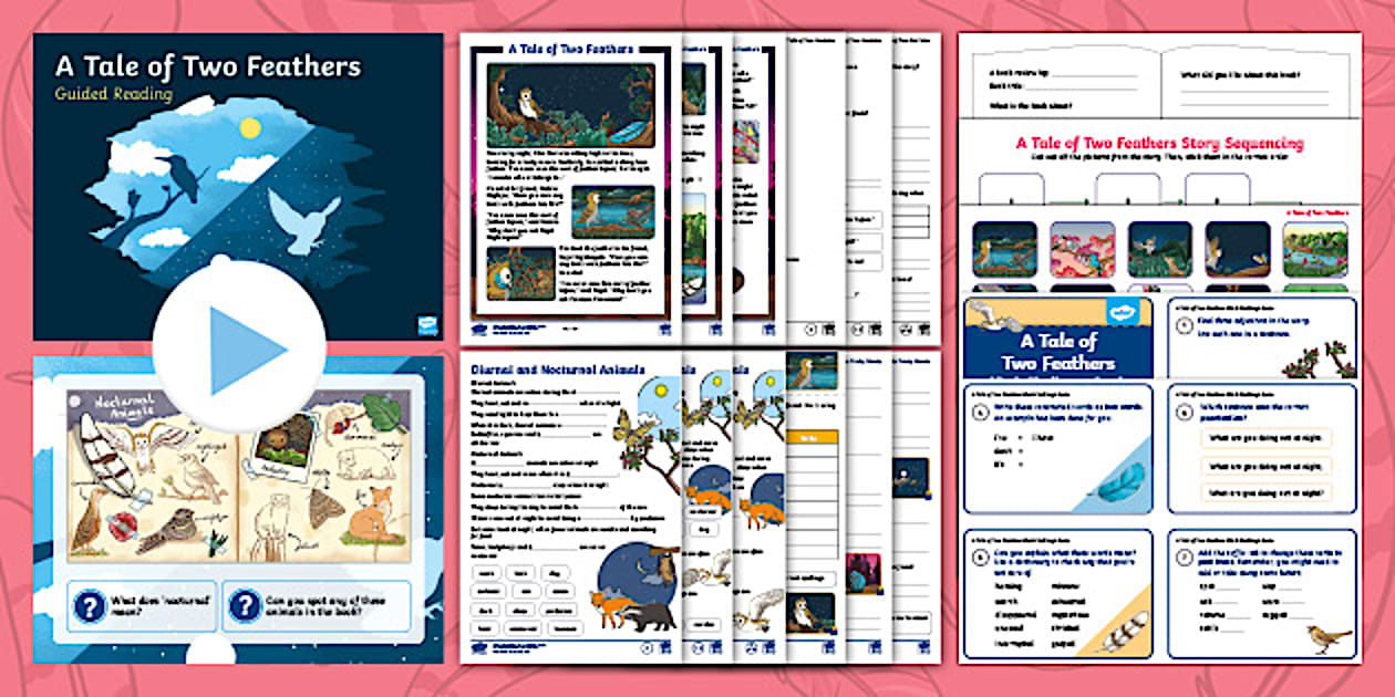 A Tale of Two Feathers Guided Reading Pack (teacher made)