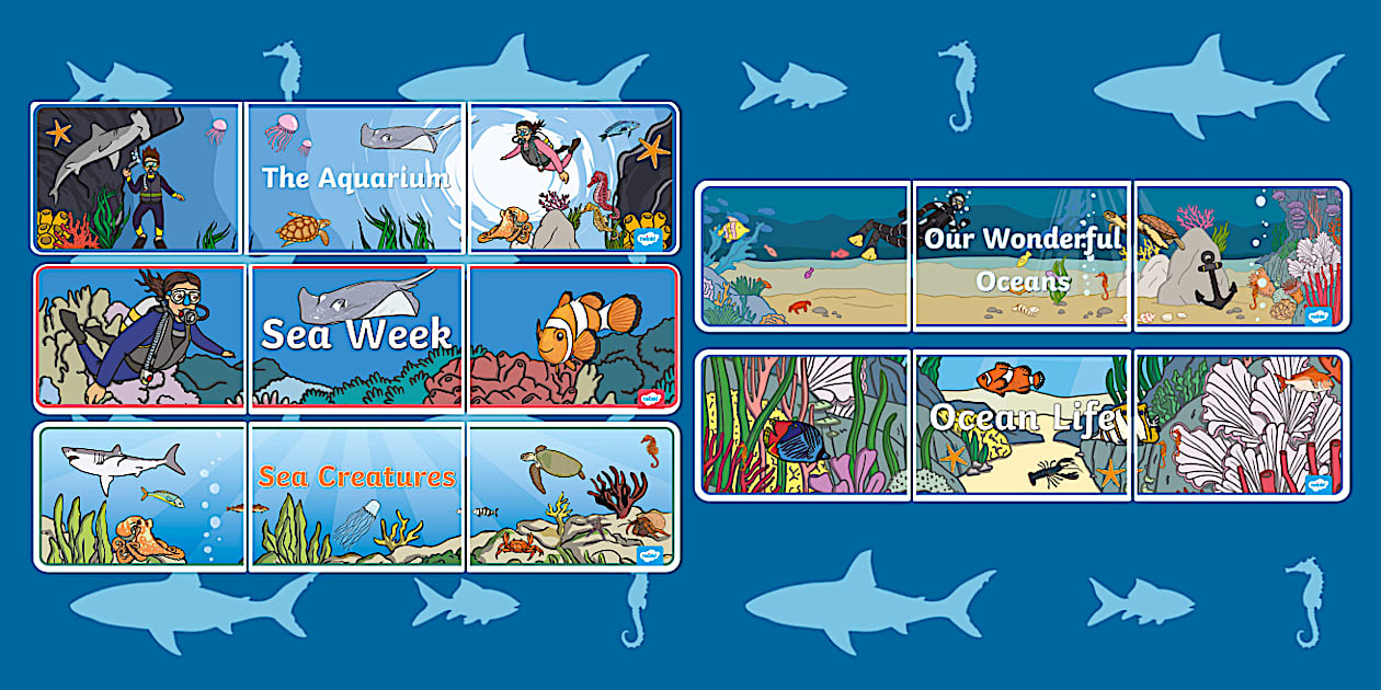 Sea Editable Display Banners (teacher made) - Twinkl