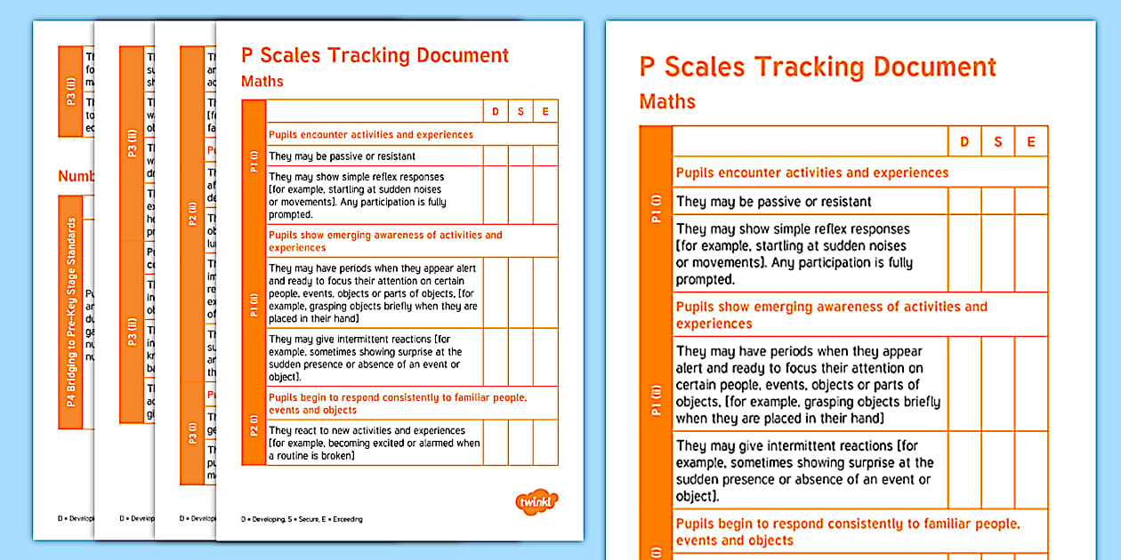 Editable P Scales Tracking Maths Pocket Book - Twinkl