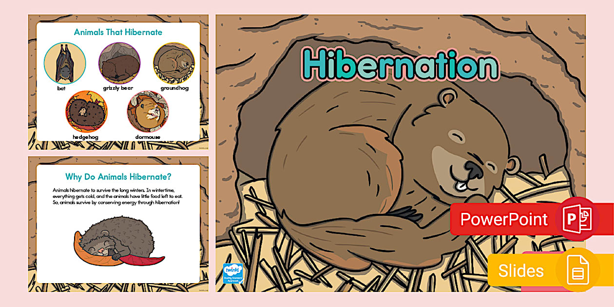 Hibernation PowerPoint & Google Slides for K-2nd Grade