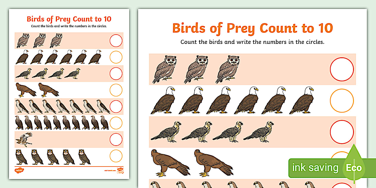 👉 Counting to 10 with Birds of Prey Activity, Birds