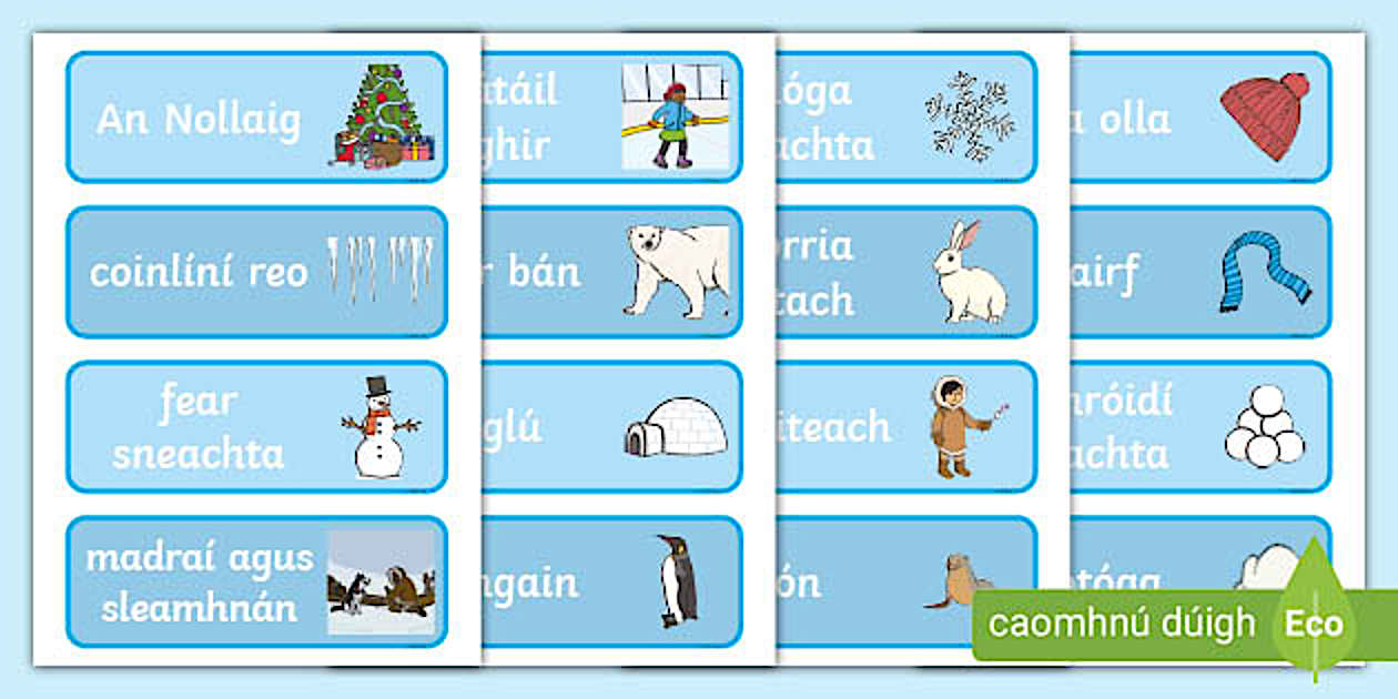 Winter Topic Word Cards Gaeilge