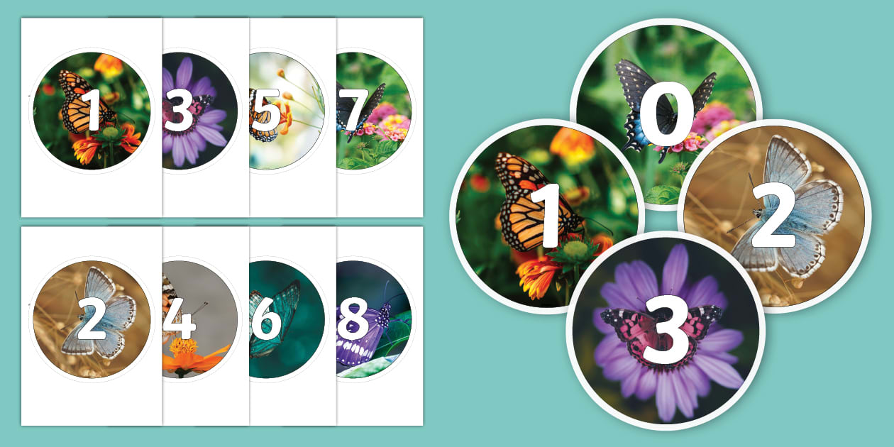 👉 Numbers 0-20 Butterfly Circle Display Photo Cut-Outs