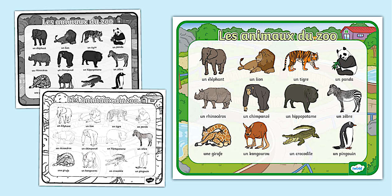 Ensemble de mots : Les animaux du zoo (teacher made)