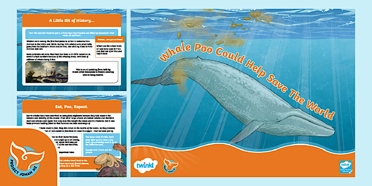 FREE! - Whale Poo Could Help Save the World! Powerpoint