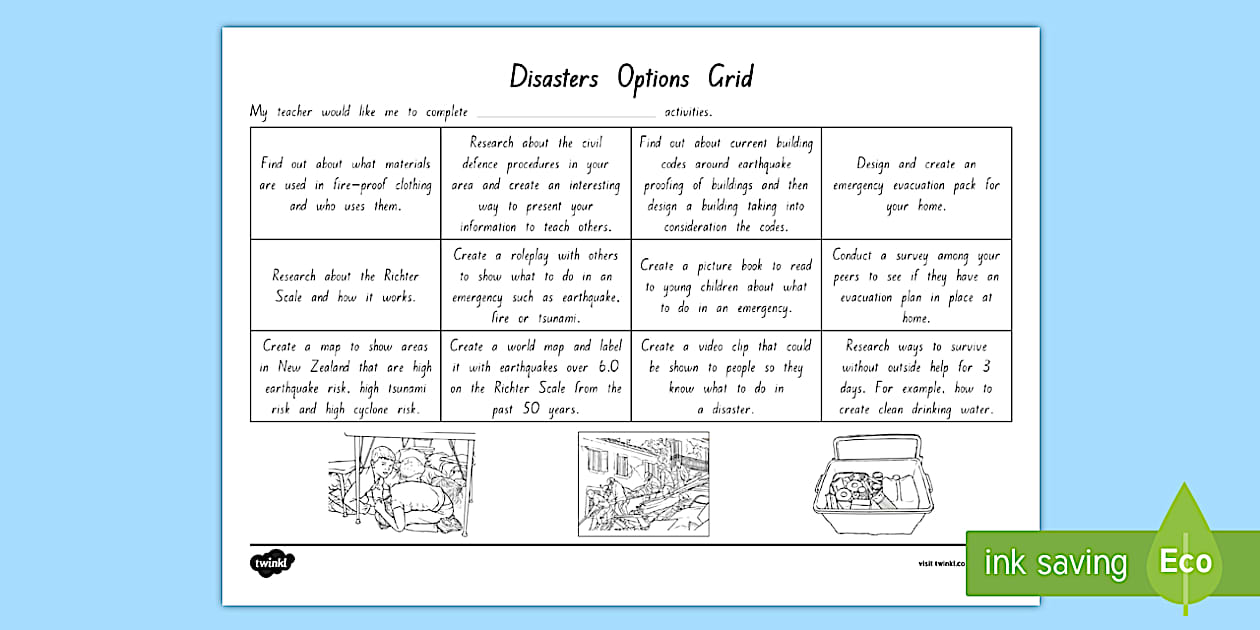 Disasters Options Grid Activity (teacher made) - Twinkl